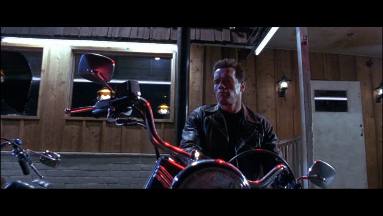Harley-Davidson Motorcycle Driven By Arnold Schwarzenegger In ...