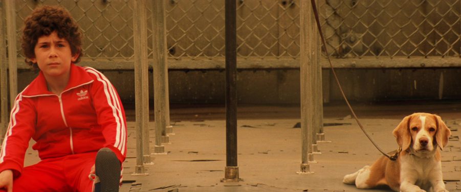 Adidas Tracksuits And Puma Shoes Worn By Grant Rosenmeyer (Ari ...